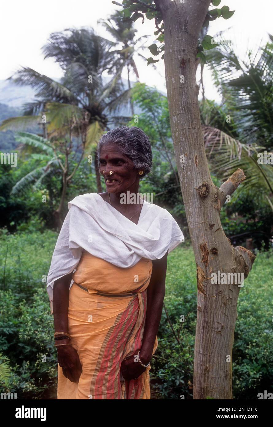 A tribal old woman in Attapadi, Kerala, India, Asia Stock Photo - Alamy