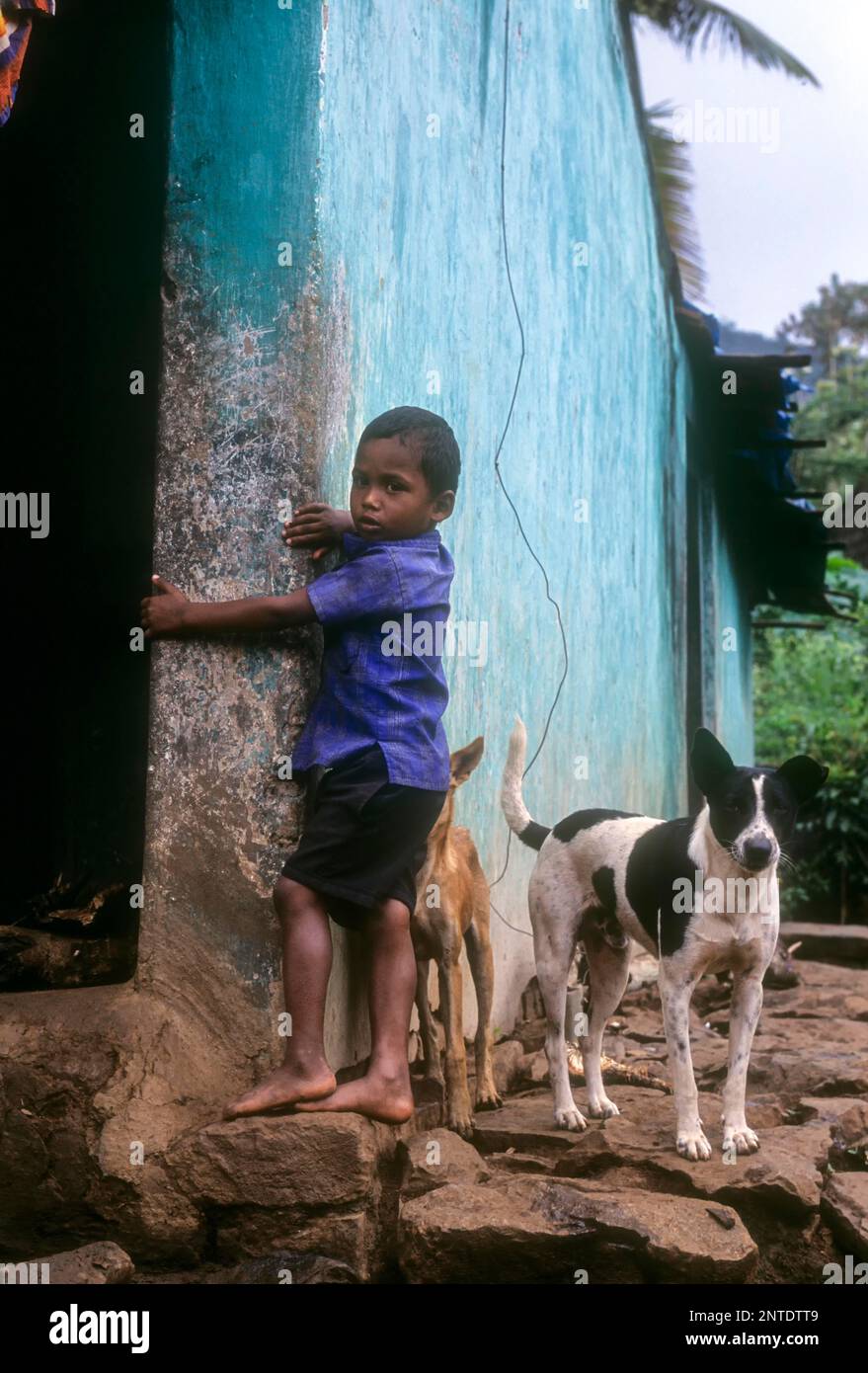 A tribal boy with dogs in Attapadi, Kerala, India, Asia Stock Photo - Alamy