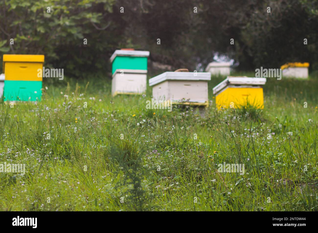 Wooden bee hives crete greece hi-res stock photography and images - Alamy