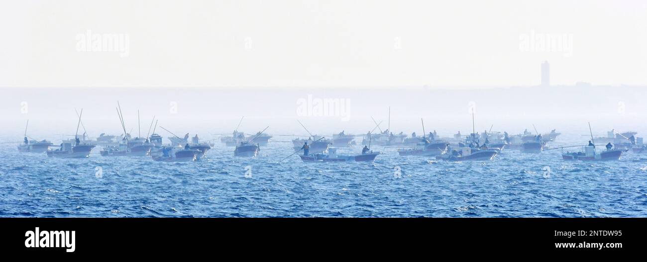 Fishermen on ships head for fishing ground of seaweed off Cape Nosappu ...
