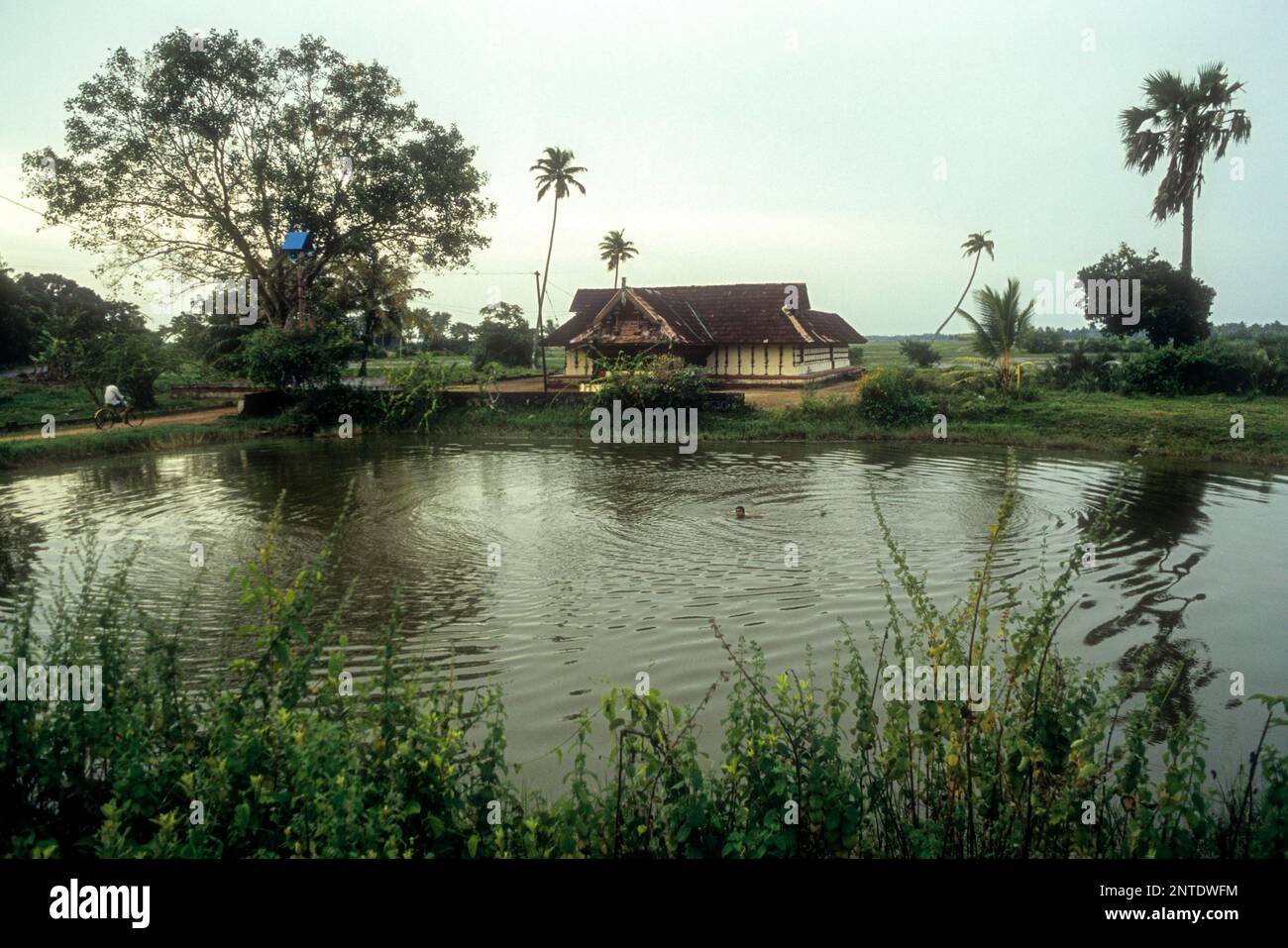 Kamapuram Sri Sankaranarayana temple in Karumadi near Alappuzha, Kerala ...