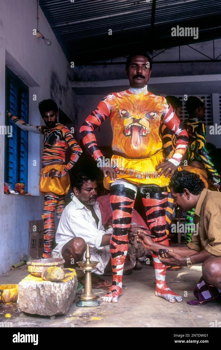 Painted human bodies for Pulikali Tiger Dance, Onam festival, Kerala ...