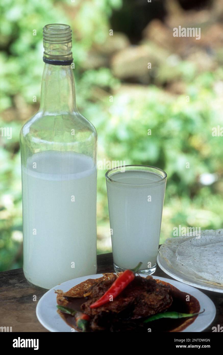 Toddy or kallu, Appam and fish curry in Kuttanad, kerala, India, Asia ...