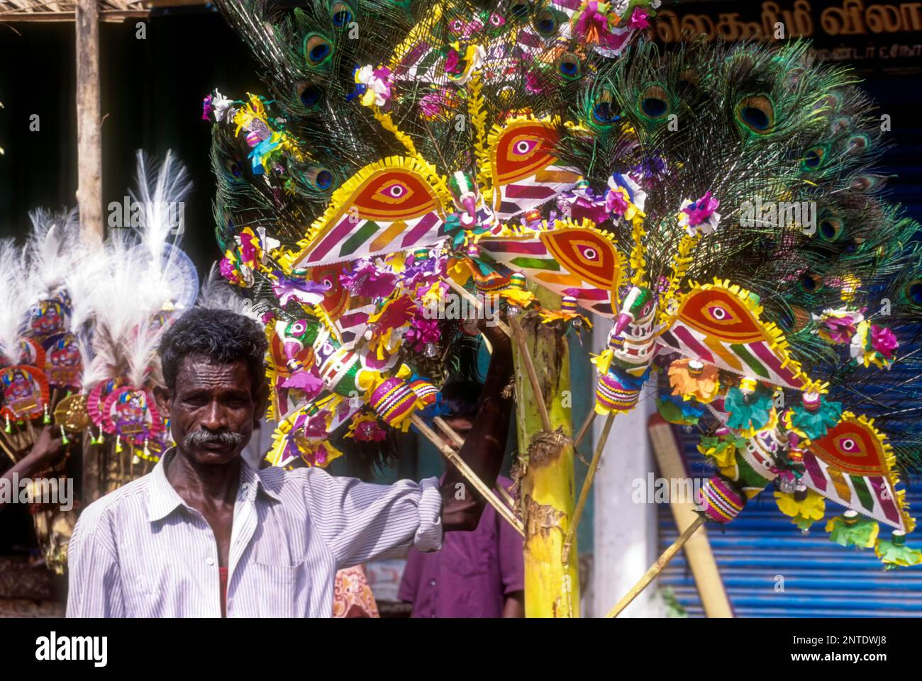 A man holding a decorated plantain in a village festival, Kerala, India ...