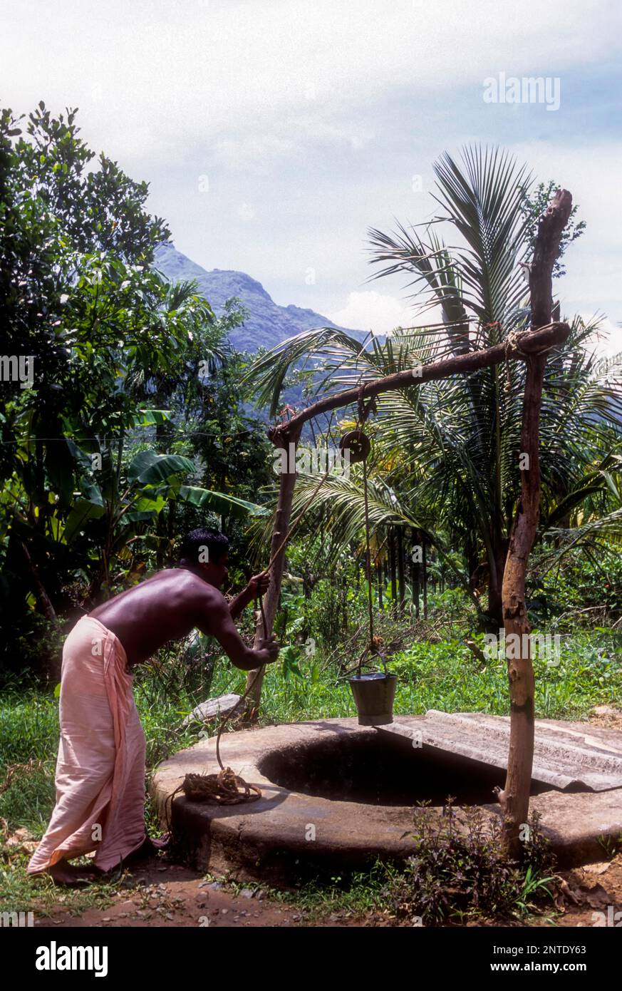 A man collecting water from well, Kerala, South India, India, Asia ...