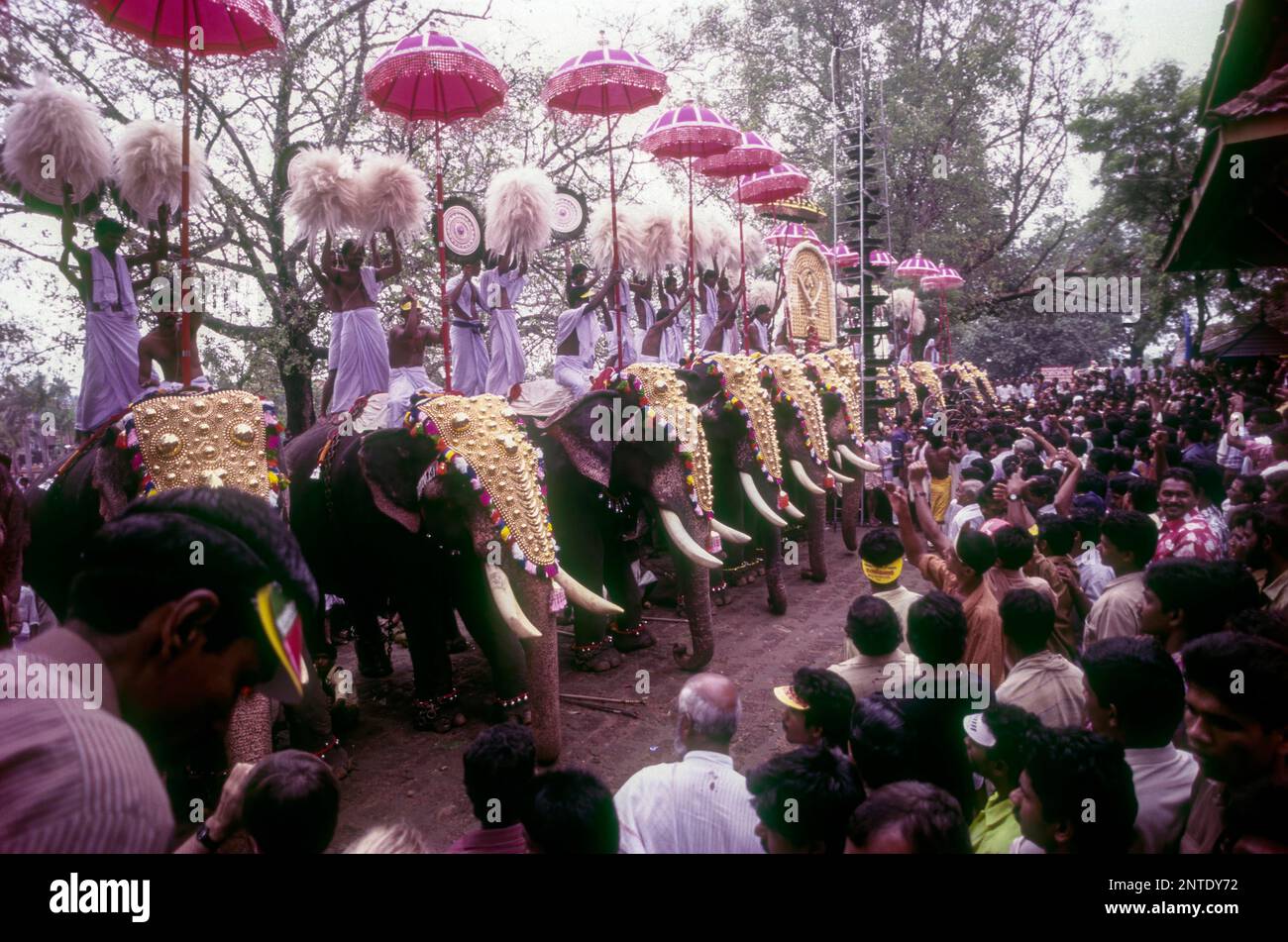 Pooram Festival in Thrissur Trichur, Kerala, South India, India, Asia ...