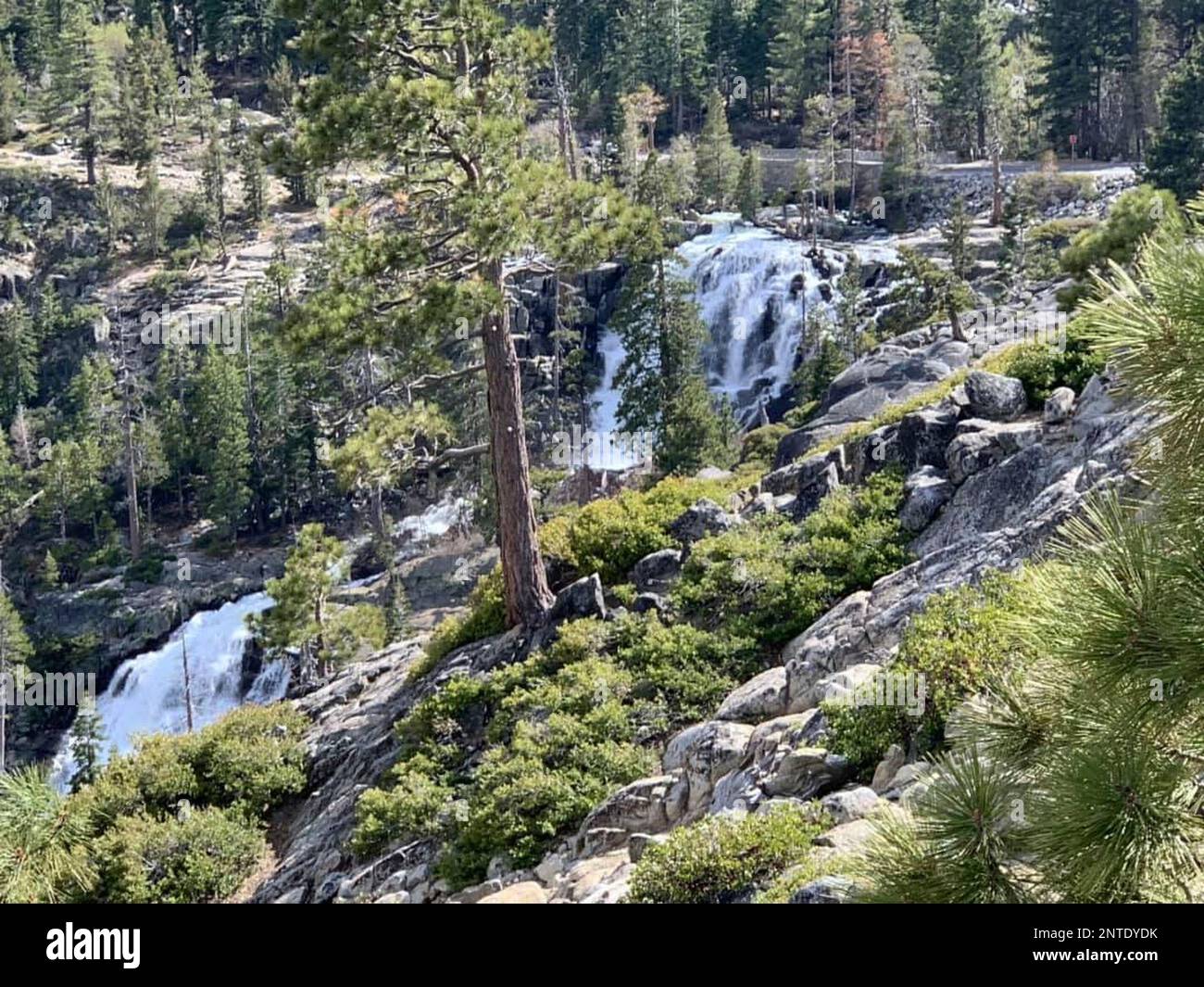 This Friday, May 31, 2019, photo released by the North Tahoe Fire ...