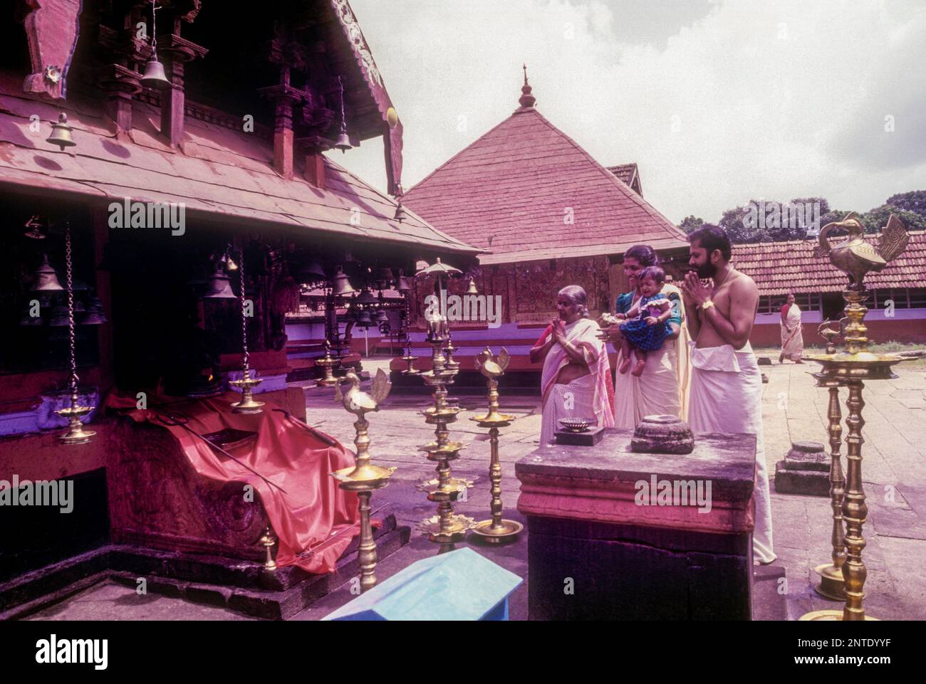 Panayannar kave Bhagawathi temple at Parumala near Mannar, Kerala ...