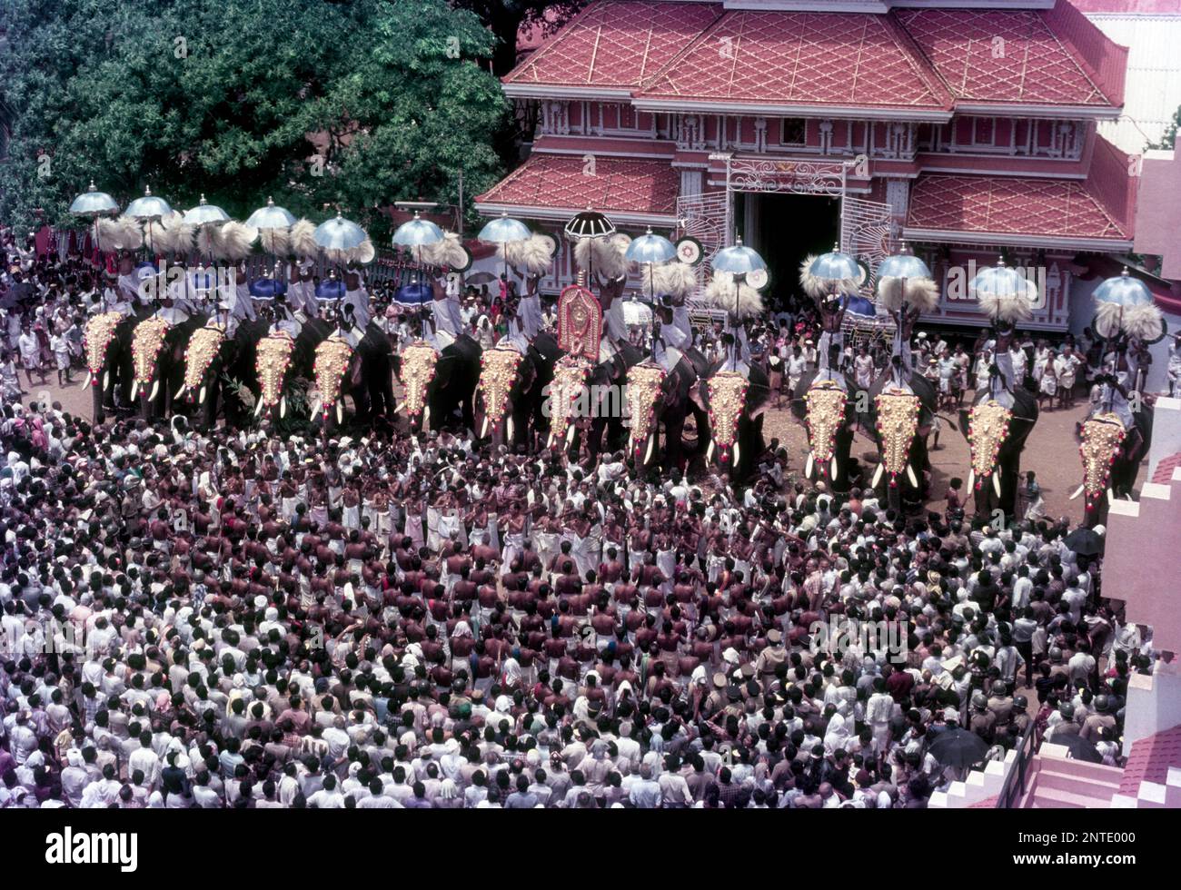 Paramekkavu bhagavathi temple hi-res stock photography and images - Alamy