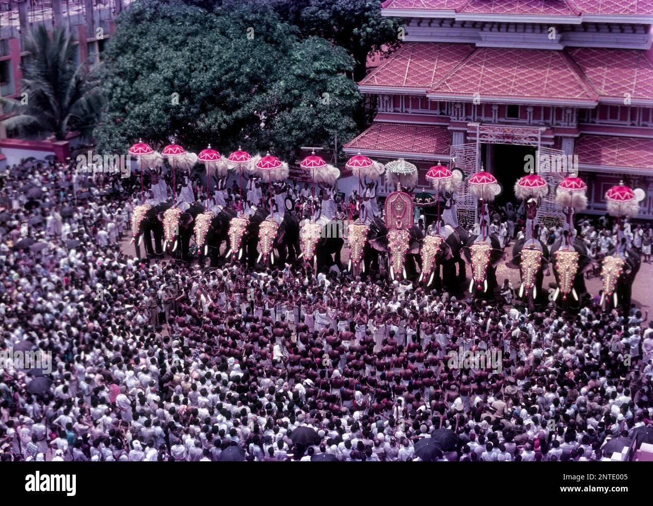 Pooram Festival in front of Paramekkavu Bhagavathi Temple in Thrissur ...