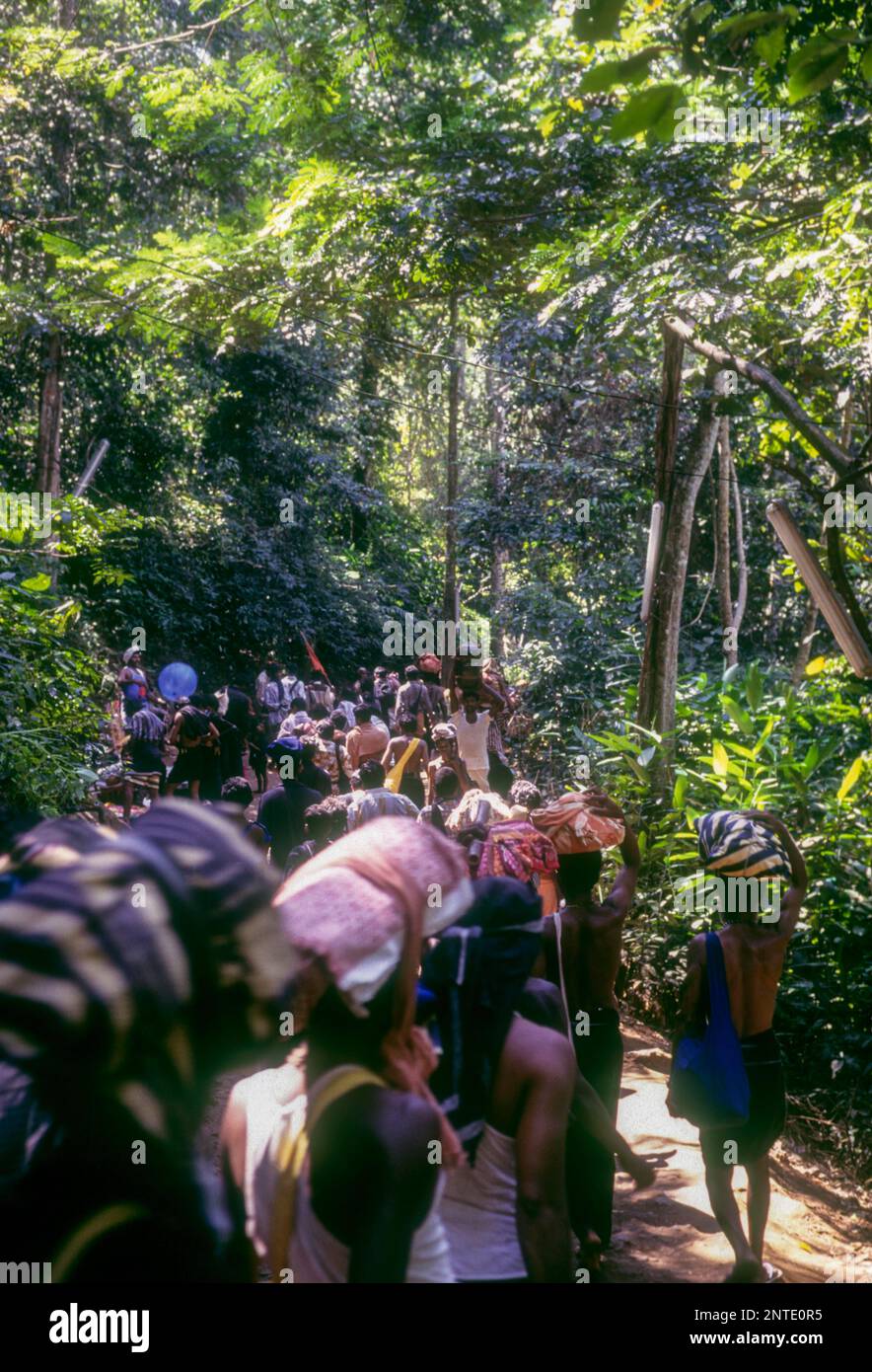 Sabarimala Temple Forest