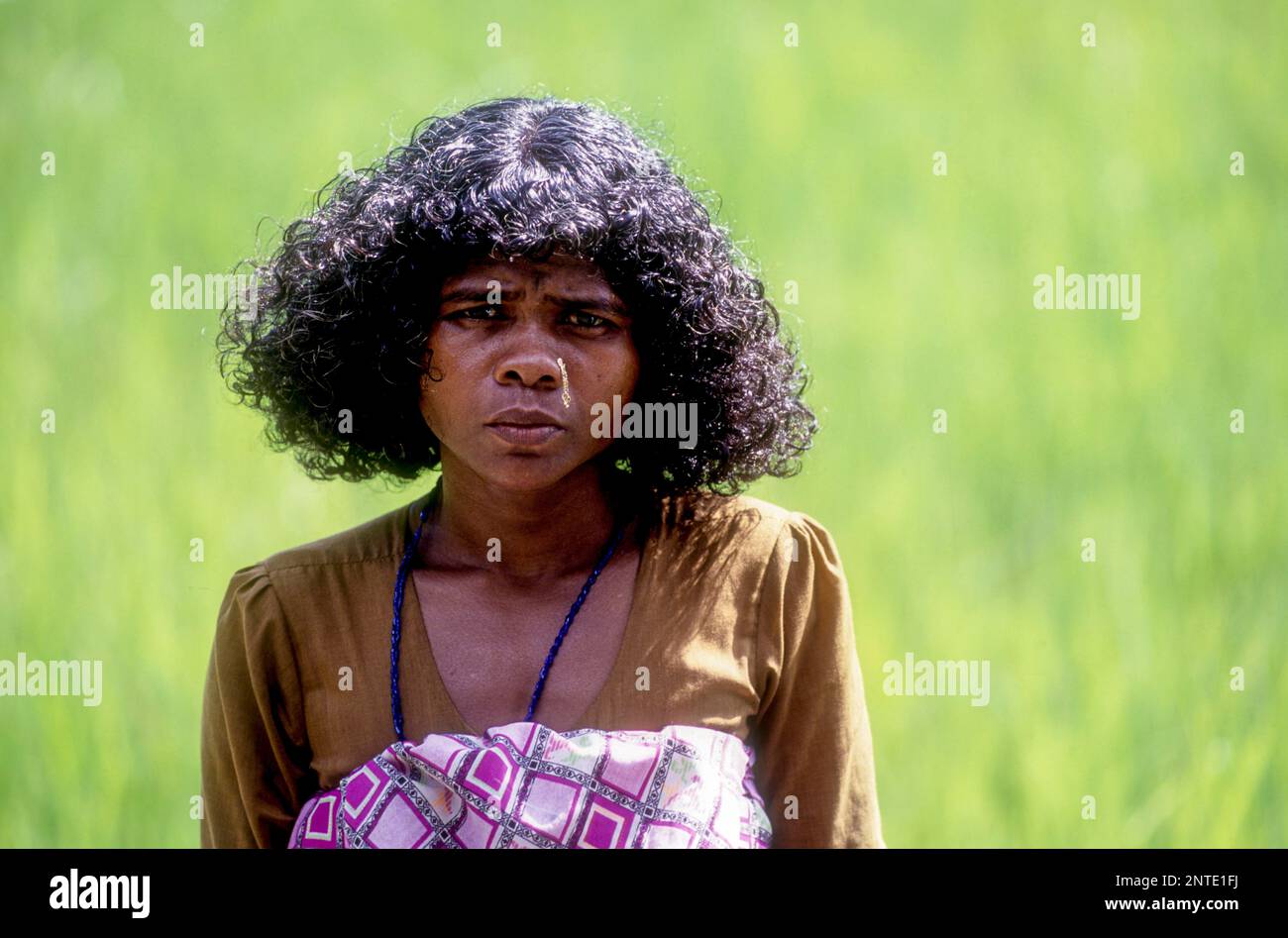 Tribal Paniya Woman at Wayanad, Kerala, South India, India, Asia Stock ...
