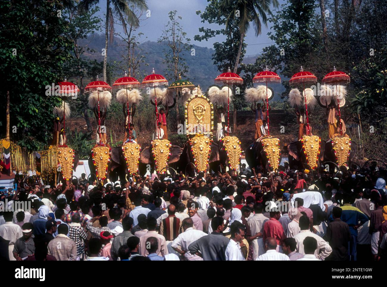 Pooram festival at Uthralikkavu Bhagavathi Temple near Thrissur Trichur ...