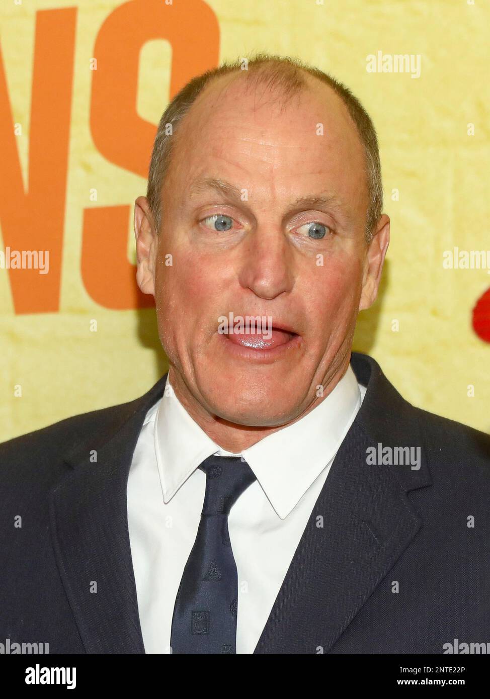 Actor Woody Harrelson attends the premiere of Focus Features ...