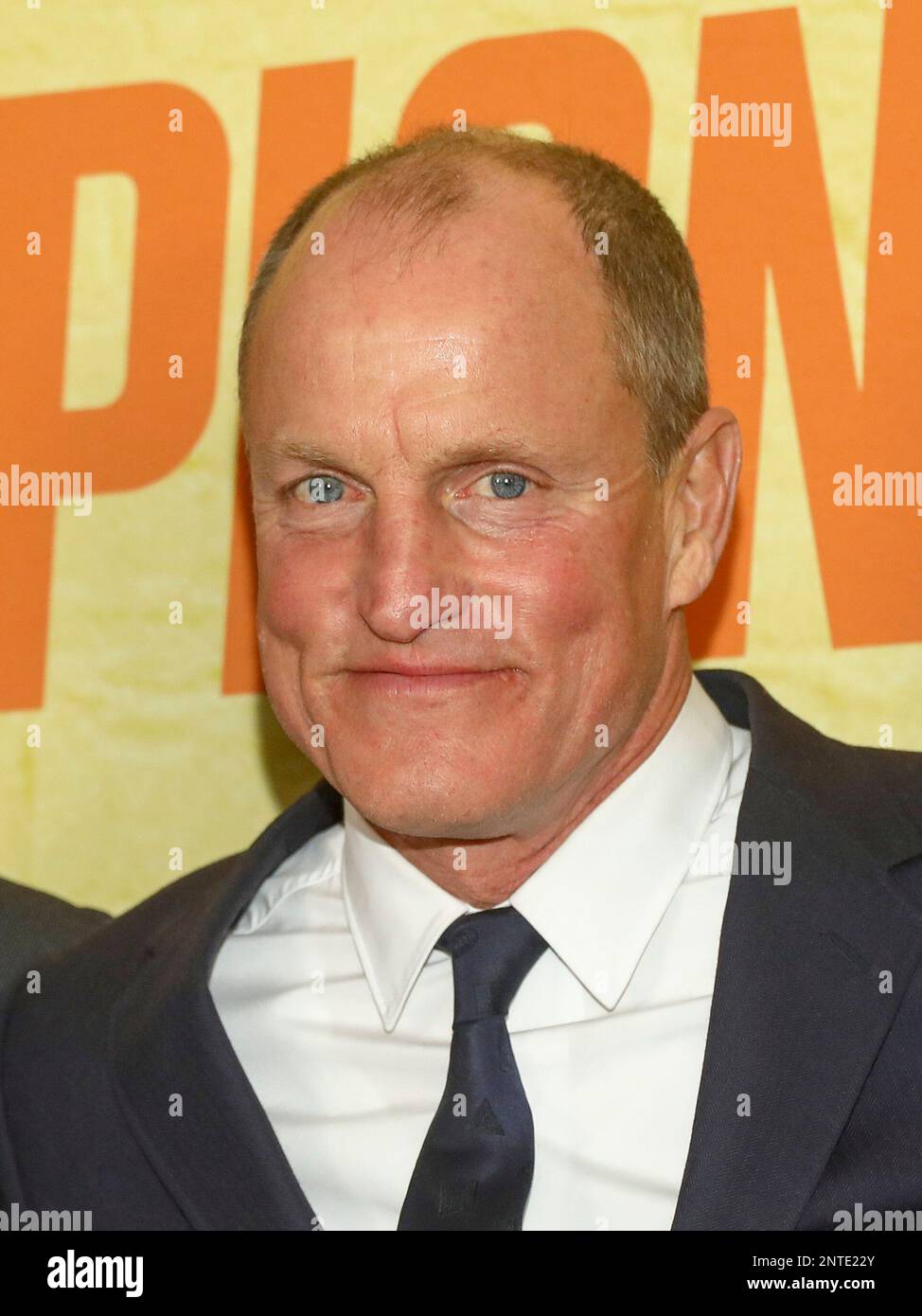 Actor Woody Harrelson attends the premiere of Focus Features ...