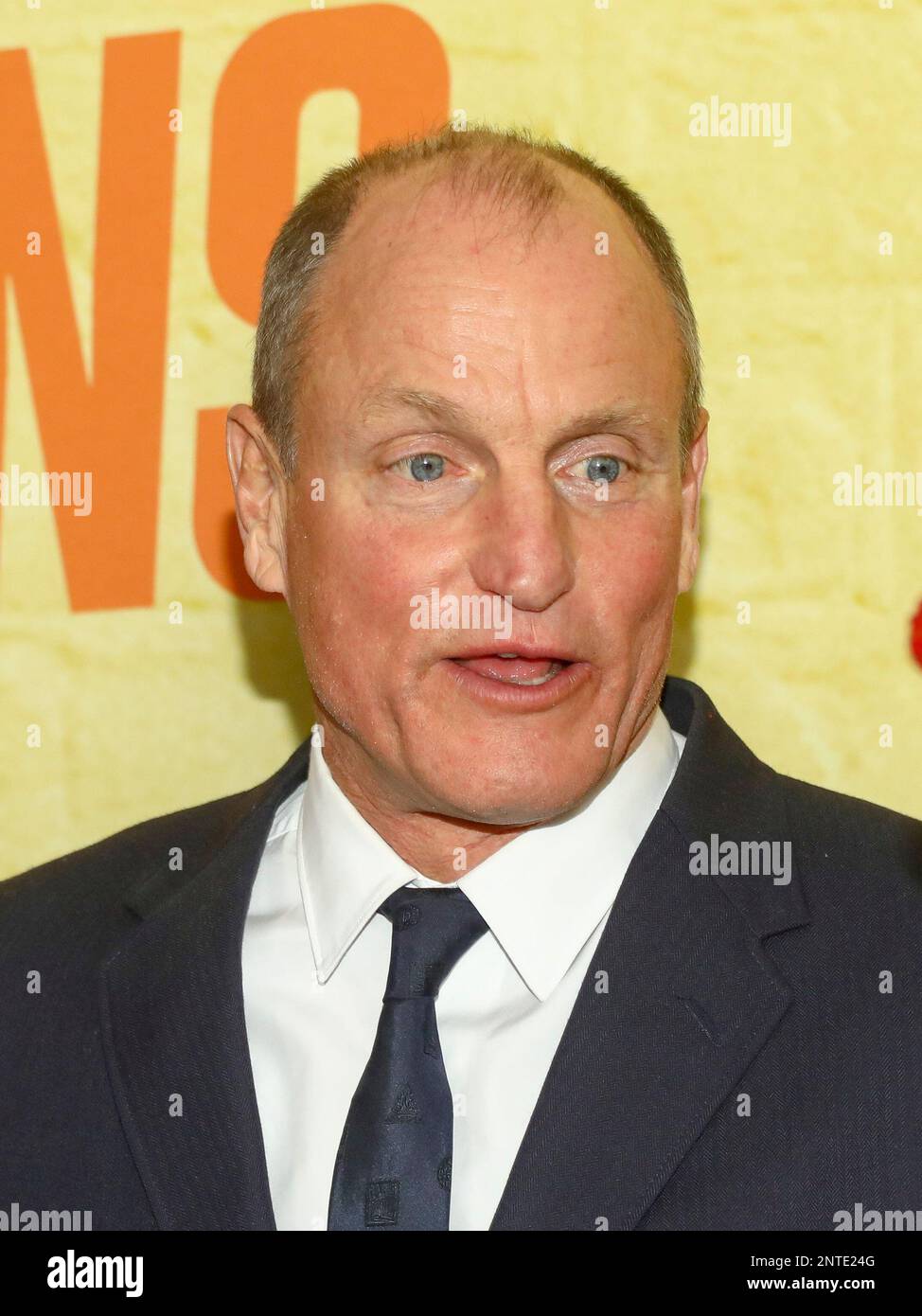 Actor Woody Harrelson attends the premiere of Focus Features ...