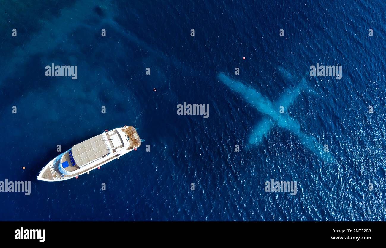 Drone photo after sinking plane, aerial photo, C130 Hercules, C-130 ...