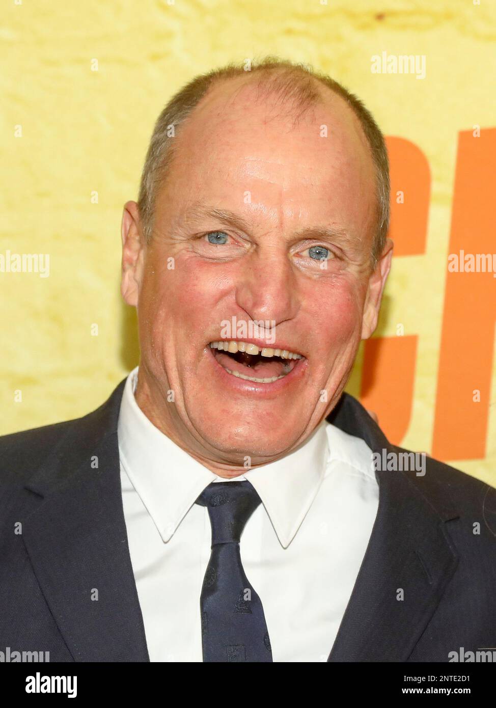 Actor Woody Harrelson attends the premiere of Focus Features ...