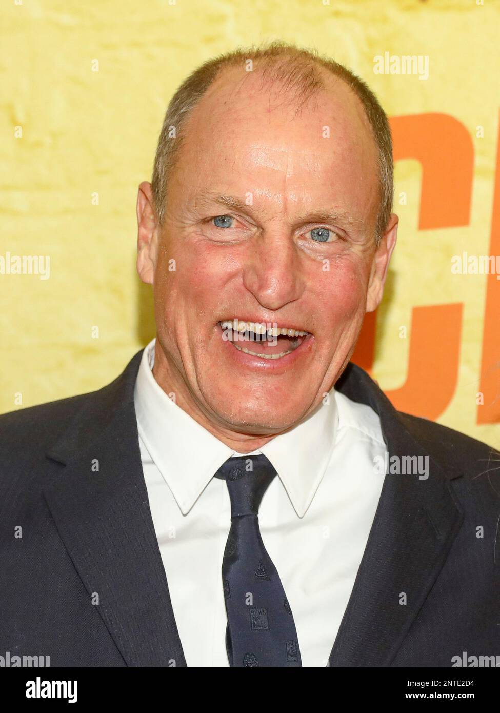 Actor Woody Harrelson attends the premiere of Focus Features ...