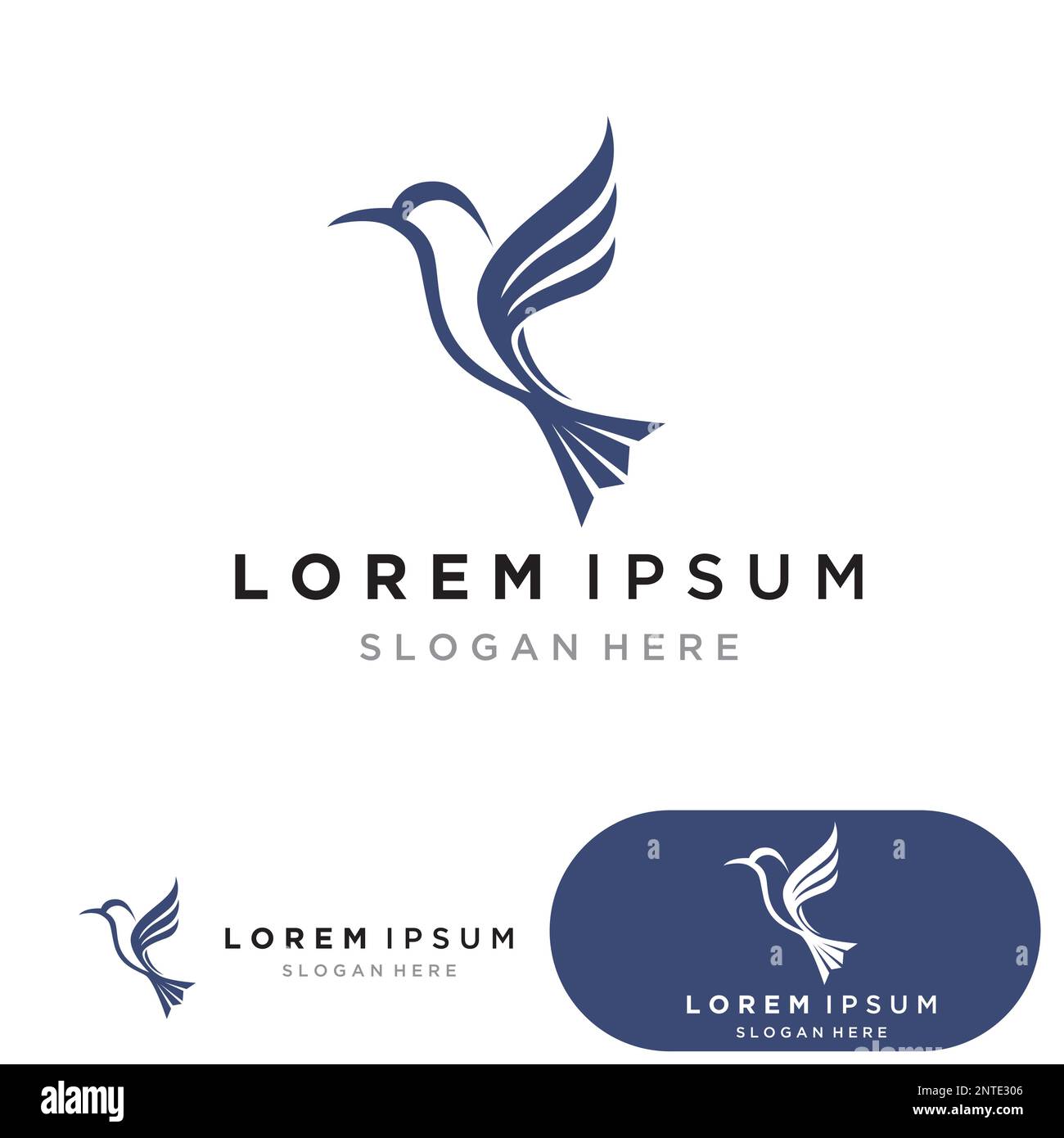 Hummingbird logo design vector template Stock Vector Image & Art - Alamy