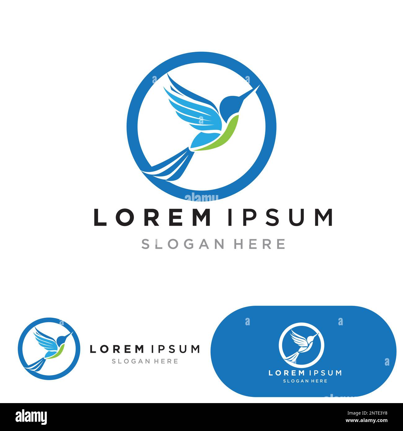 Hummingbird logo design vector template Stock Vector Image & Art - Alamy
