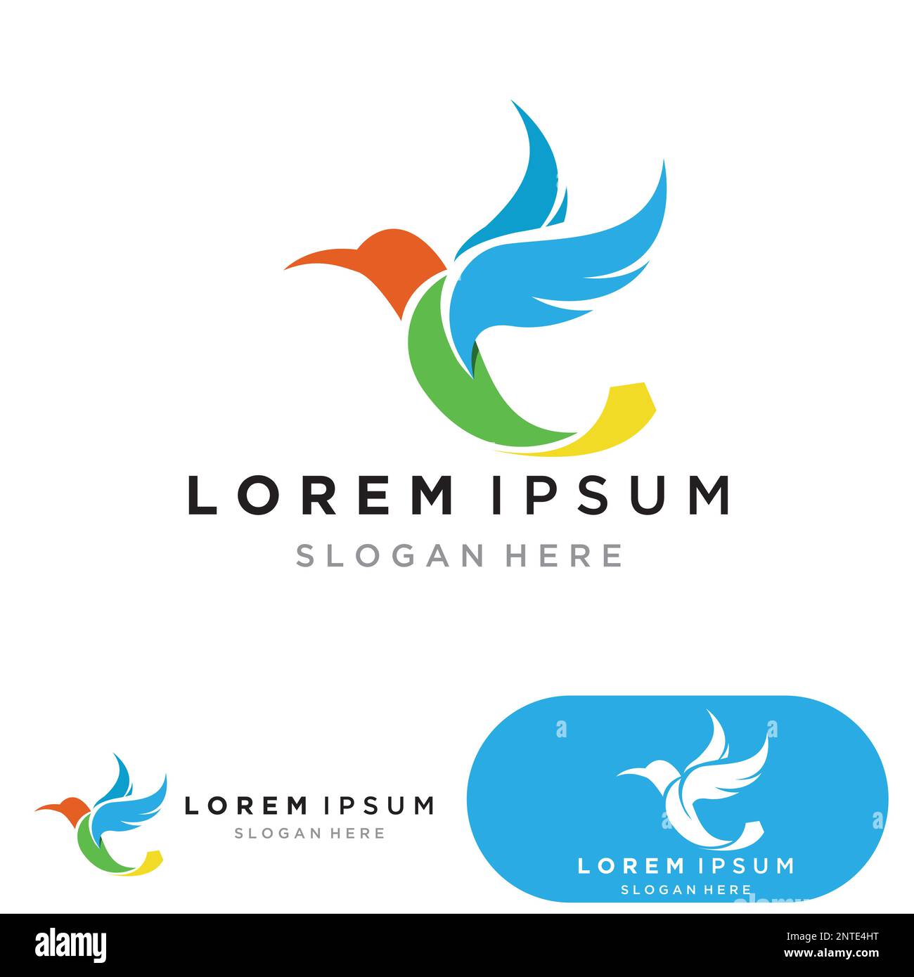 Hummingbird logo design vector template Stock Vector Image & Art - Alamy