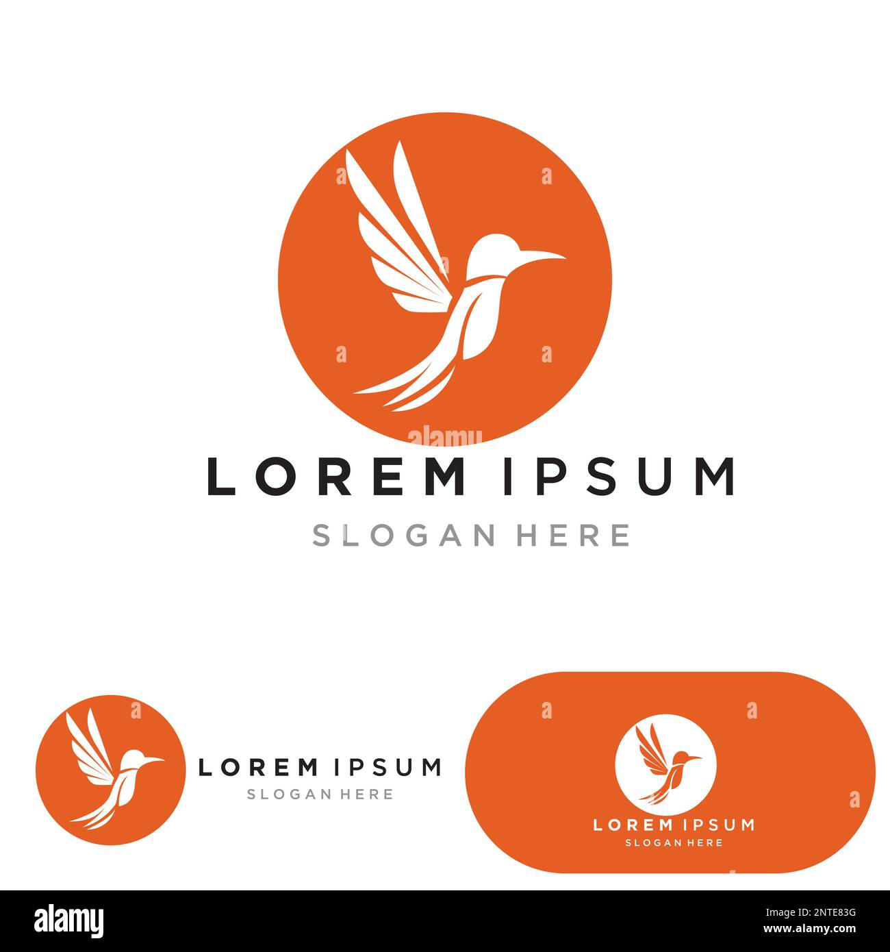 Hummingbird logo design vector template Stock Vector Image & Art - Alamy