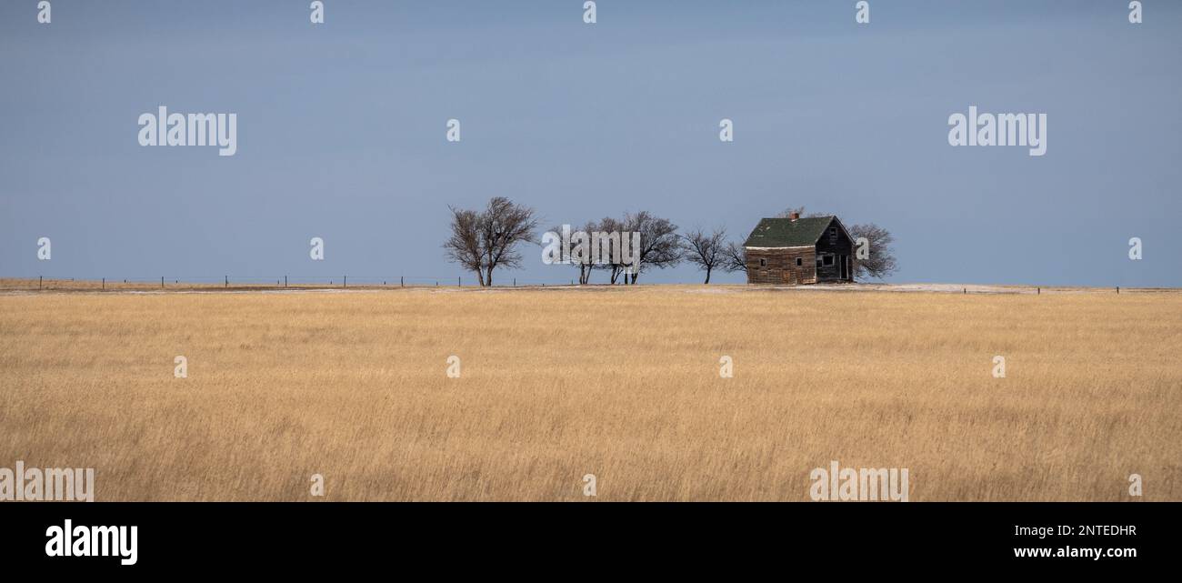 Winter prairie landscape with grassland and barn Stock Photo - Alamy