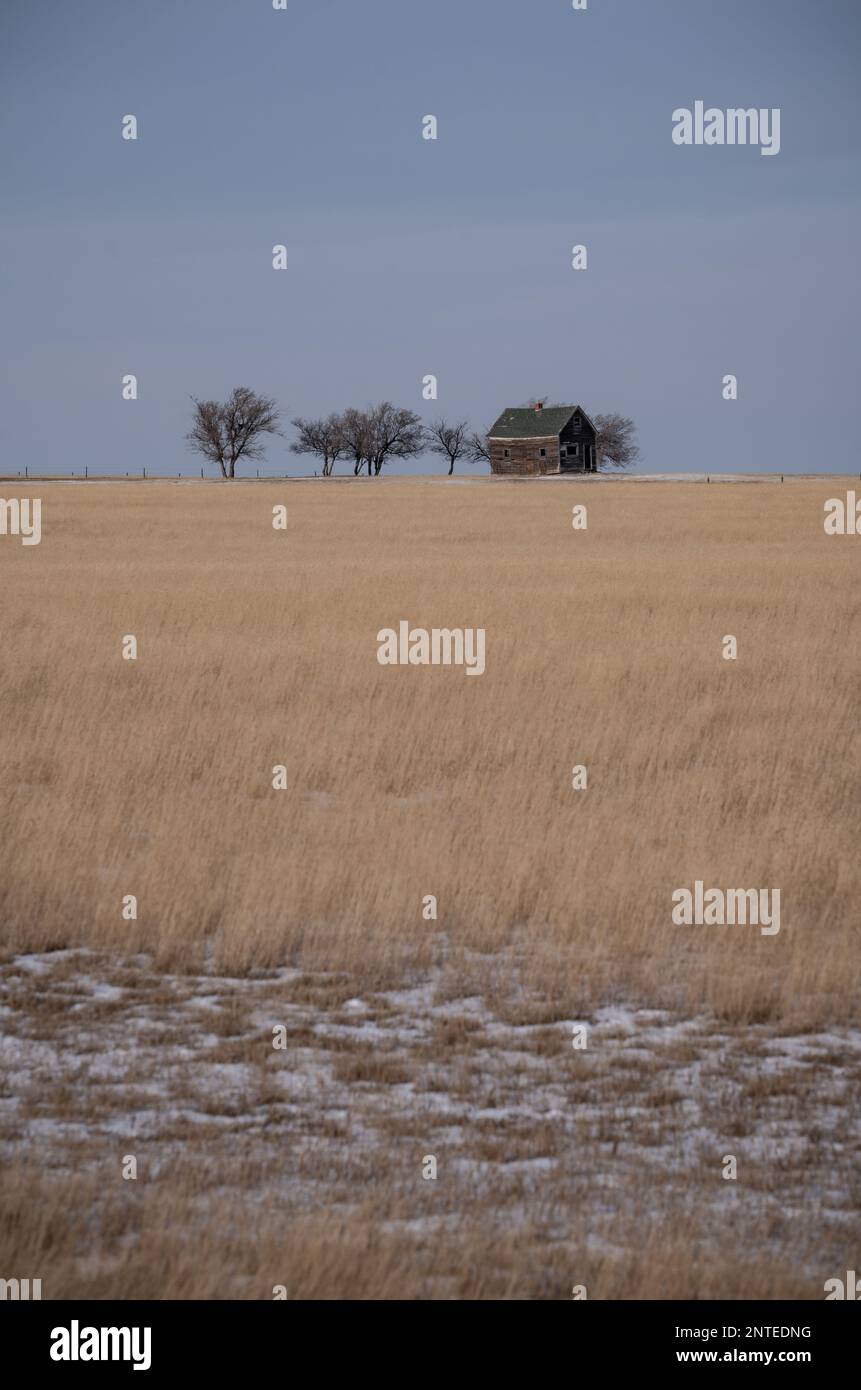 Winter prairie landscape with grassland and barn Stock Photo - Alamy