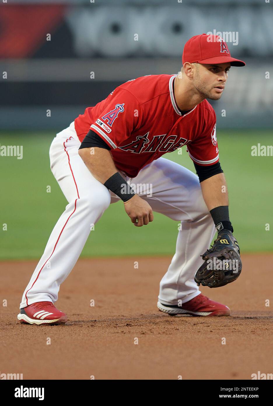ANAHEIM, CA - MAY 24: Los Angeles Angels third baseman Tommy La Stella ...