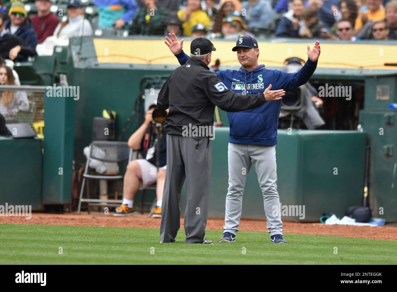 OAKLAND, CA - MAY 26: Firstbase Umpire and Crew Chief Mike Everitt ...