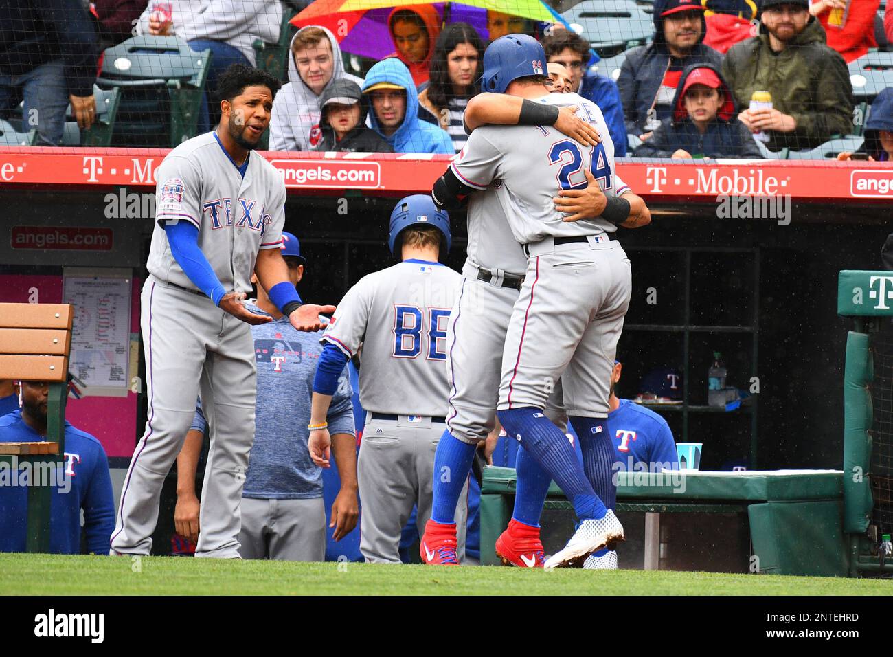 ANAHEIM, CA - MAY 26: Texas Rangers designated hitter Hunter Pence (24 ...
