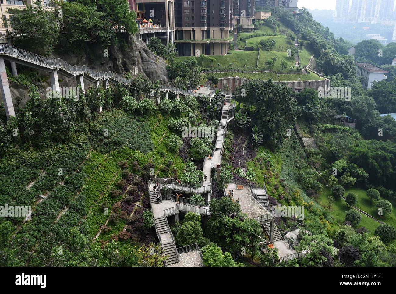 Poeple has to climb a mountain before go back home, the stairs was ...