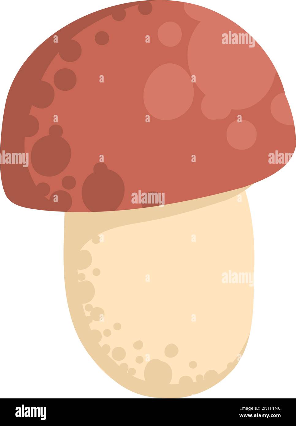 Asian Shiitake mushroom or fungi. Raw forest edible fungus composition ...