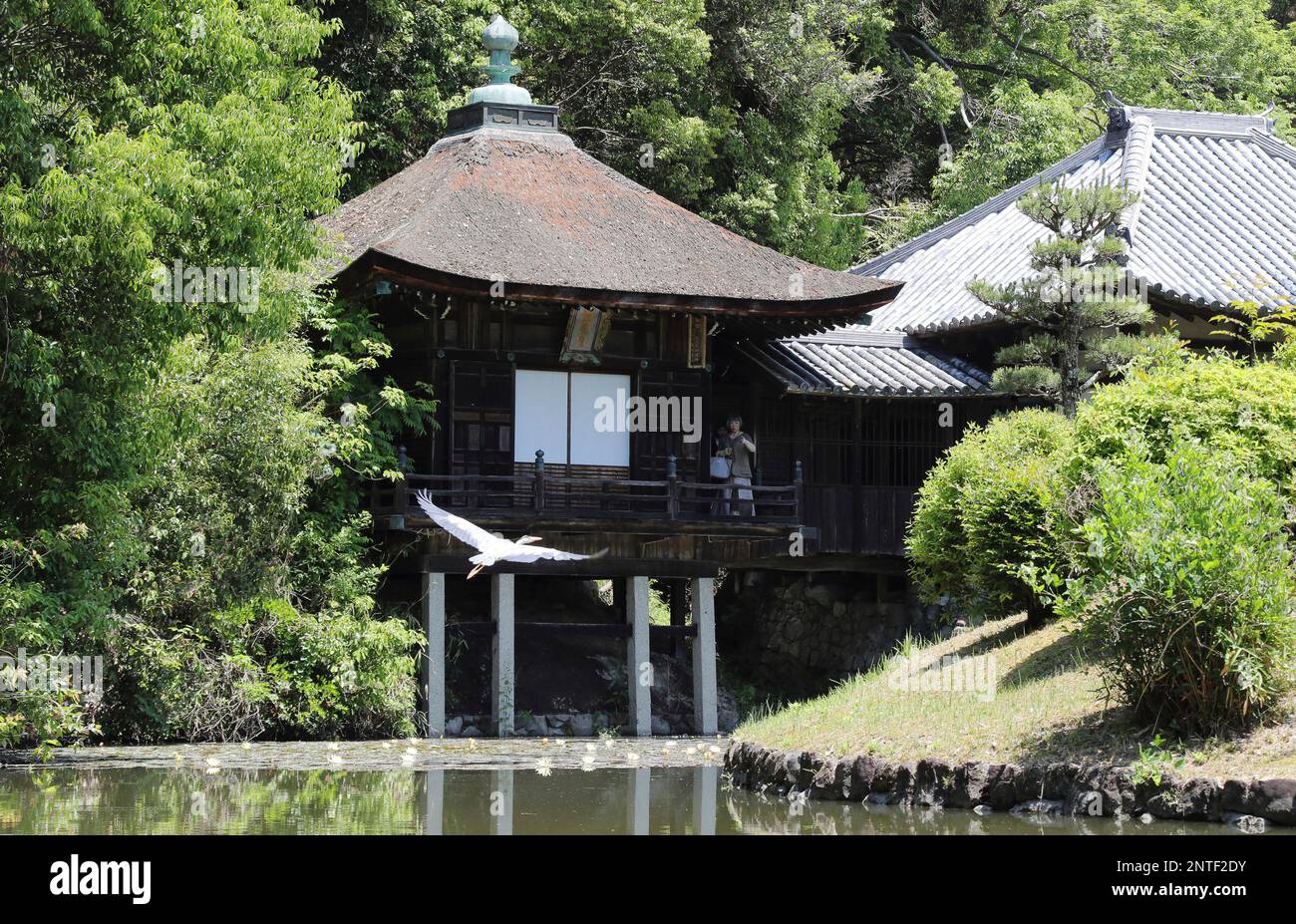 Negoro-ji Temple is pictured on May 23, 2019 in Iwade city, Wakayama ...