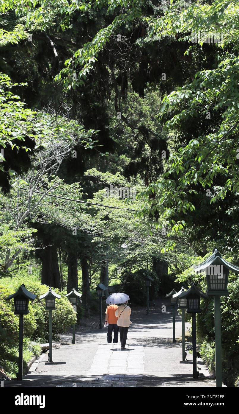 Negoro-ji Temple is pictured on May 23, 2019 in Iwade city, Wakayama ...