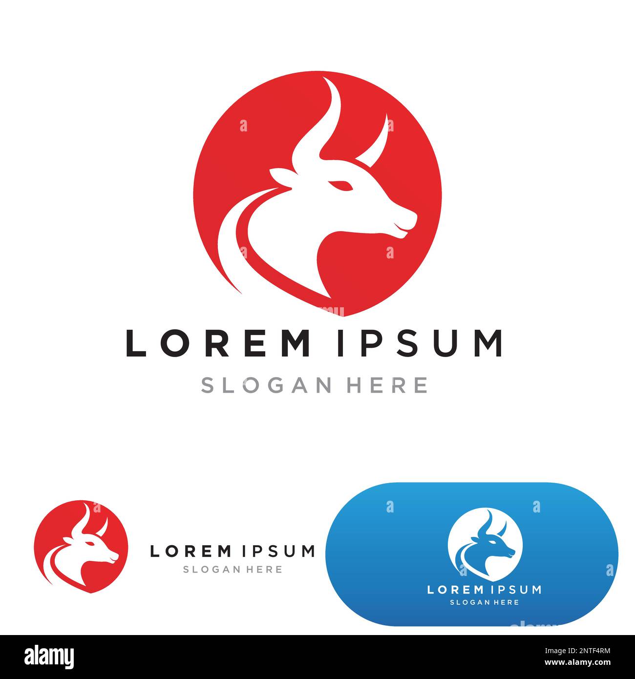 Cow head symbols logo vector template Stock Vector Image & Art - Alamy