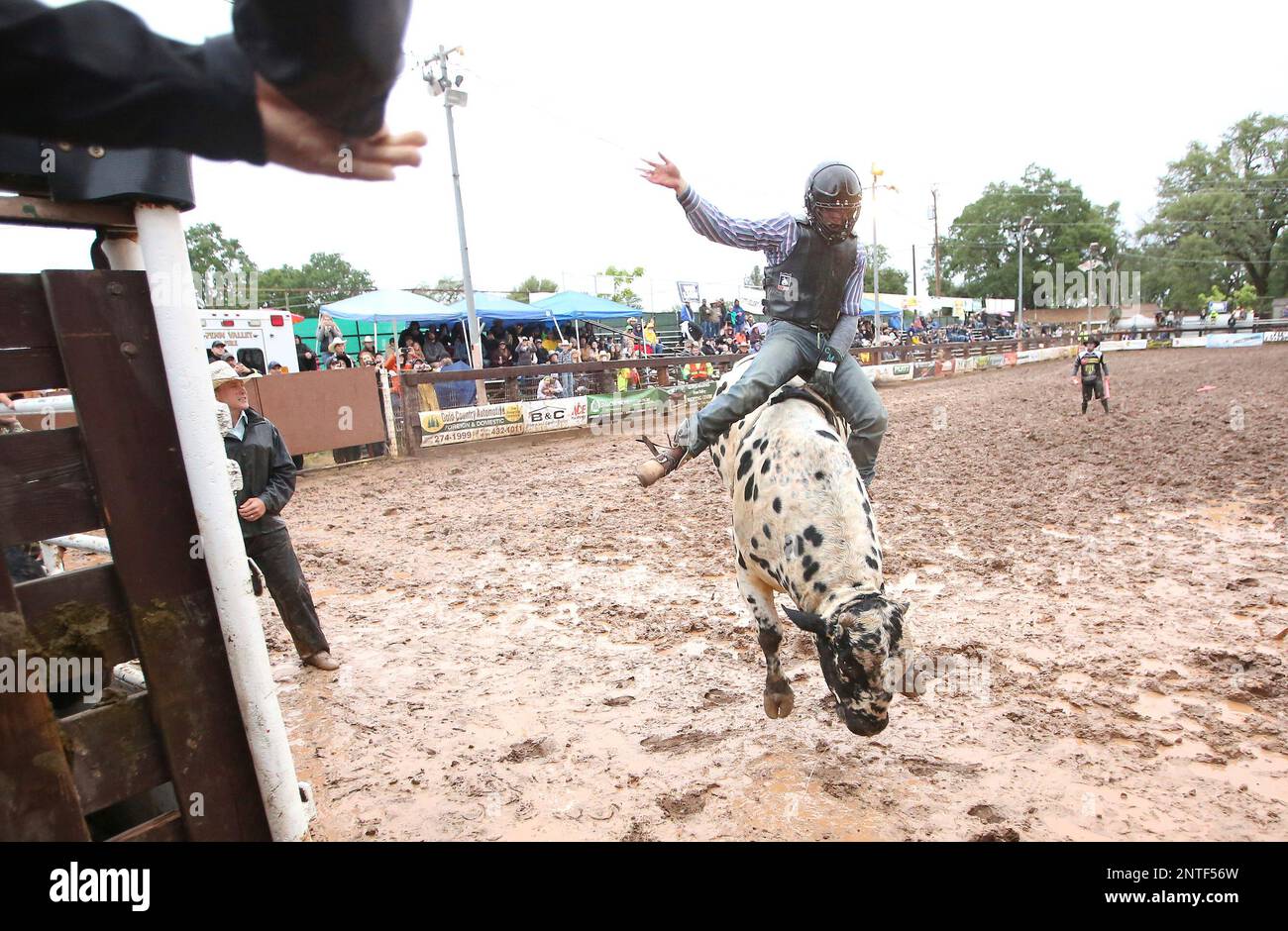 Grass Valley native Connor McClure rides Hambone out the chute during ...