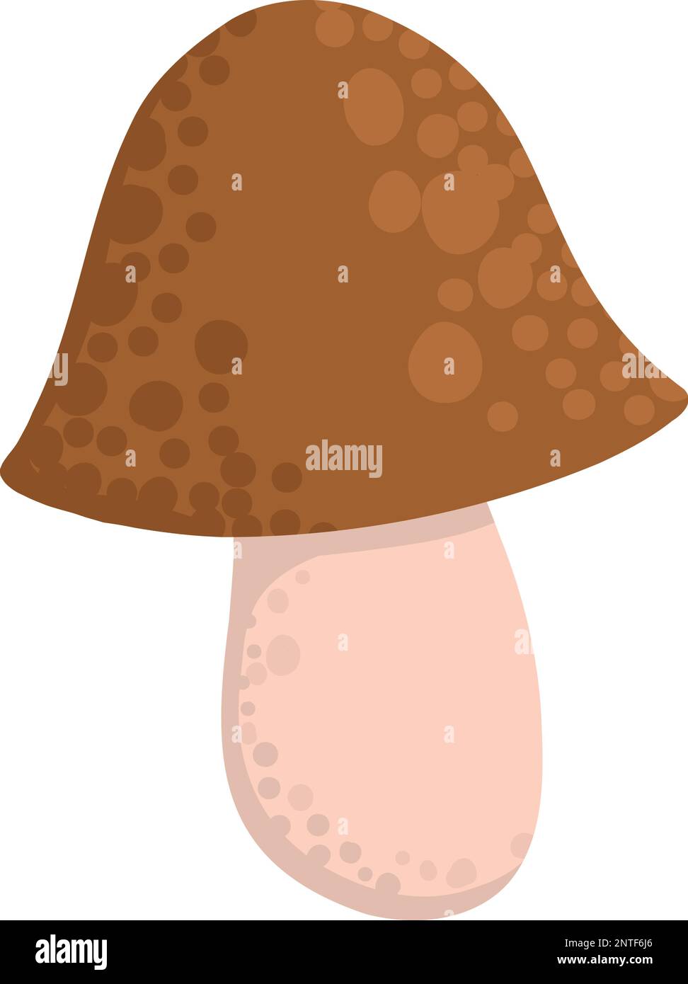 Asian Shiitake mushroom or fungi. Raw forest edible fungus composition. Natural organic ...