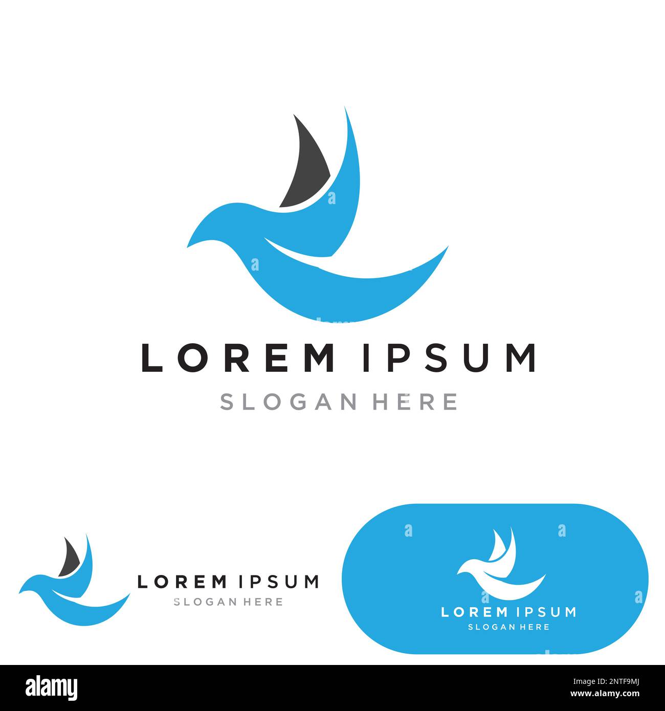 Bird wing Dove Logo Template vector illustration Stock Vector Image ...