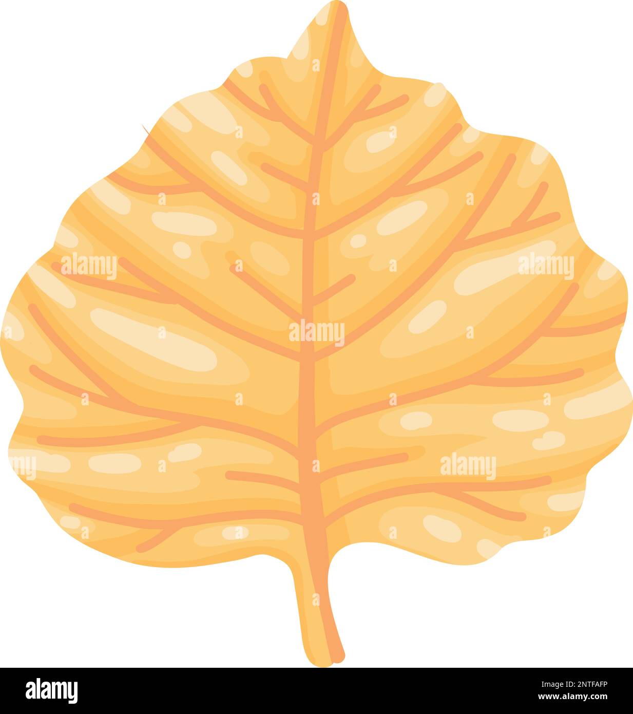 Fall autumn colors leave leaves tree trees Cut Out Stock Images ...