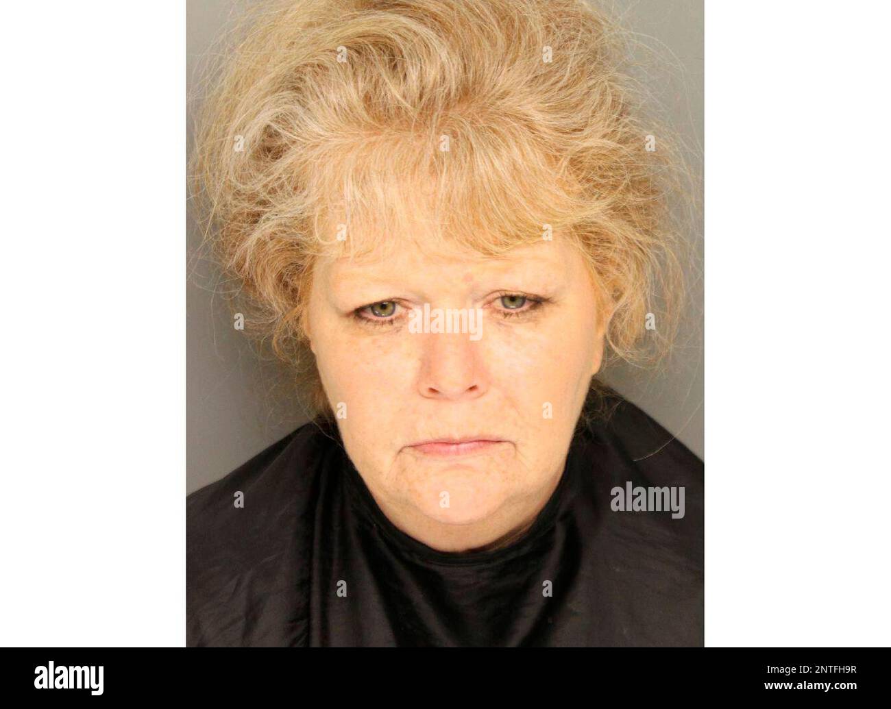 This undated photo provided by the Greenville County Jail shows Brook ...