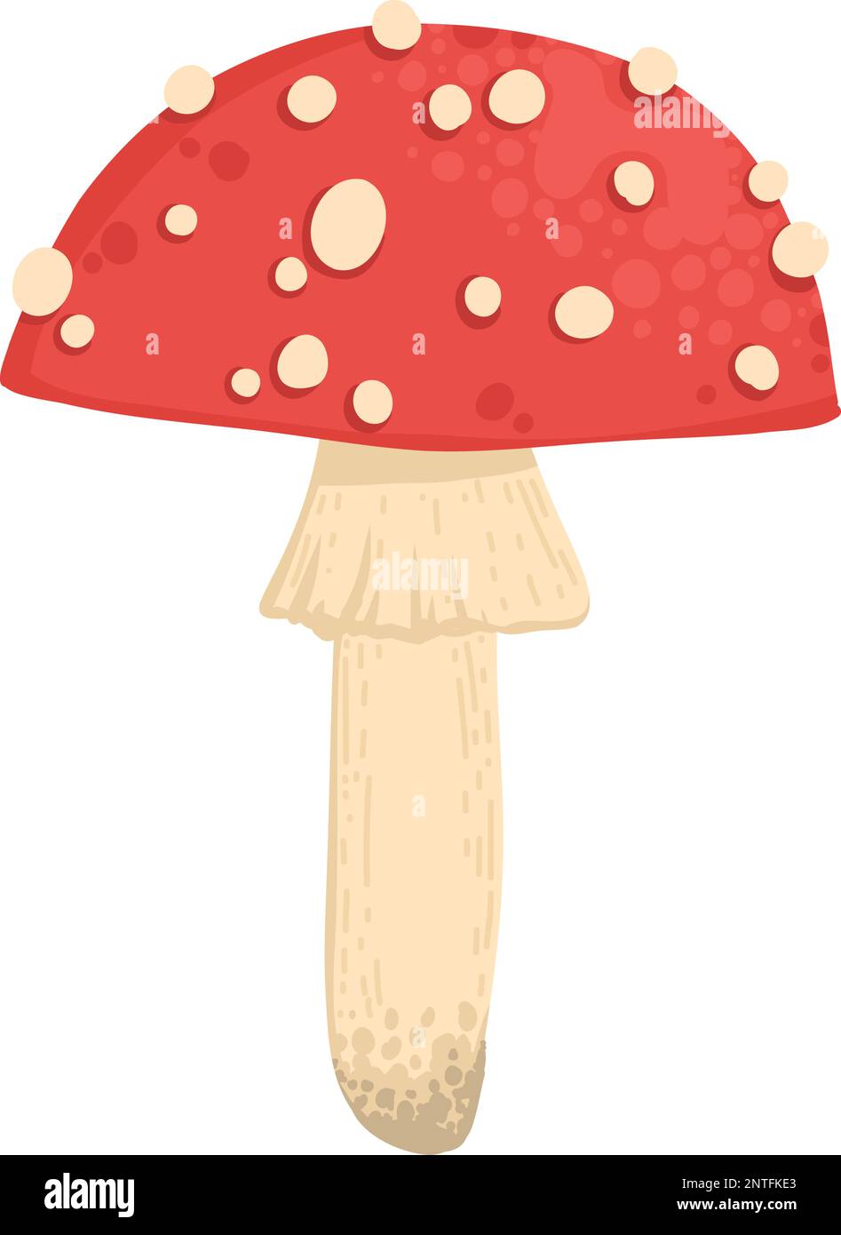 Asian Shiitake mushroom or fungi. Raw forest edible fungus composition. Natural organic ...