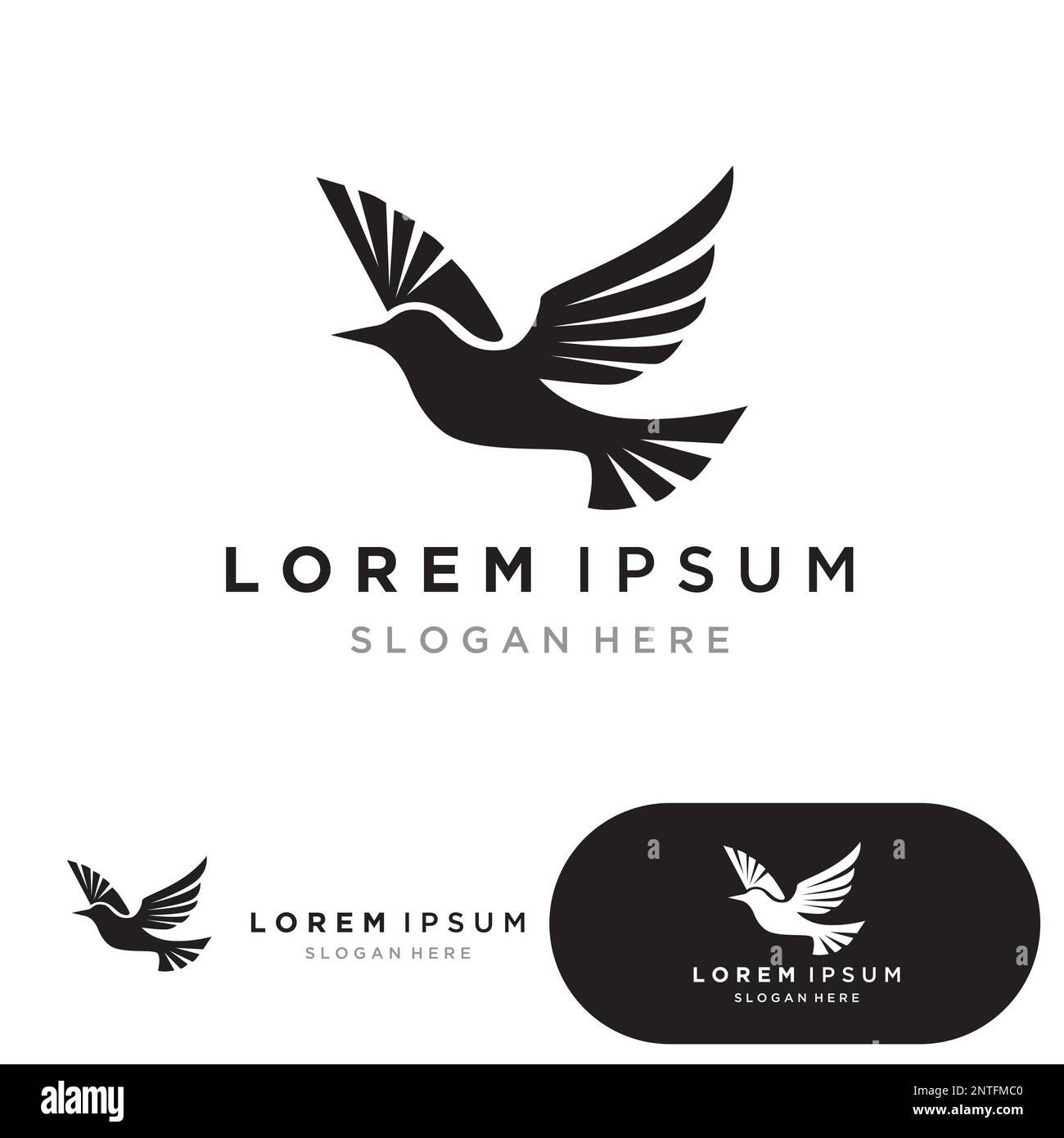 bird logo vector icon design template Stock Vector Image & Art - Alamy