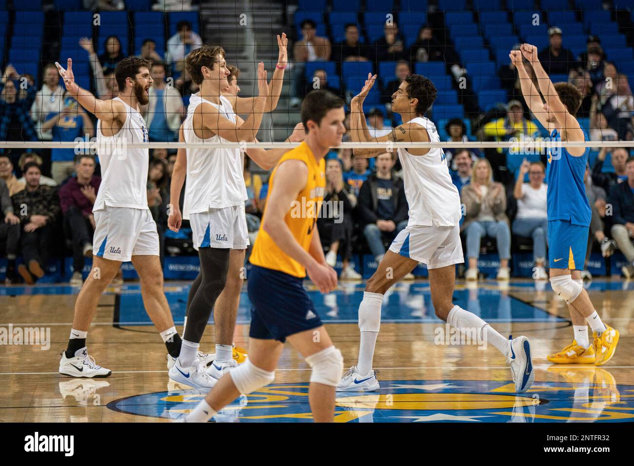UCLA Bruins celebrate during a NCAA volleyball match against UCI ...