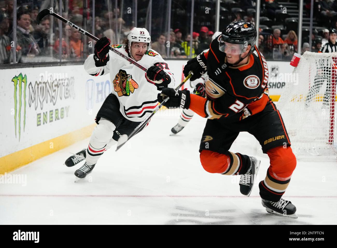 Chicago Blackhawks' David Gust (37) and Anaheim Ducks' Isac Lundestrom ...