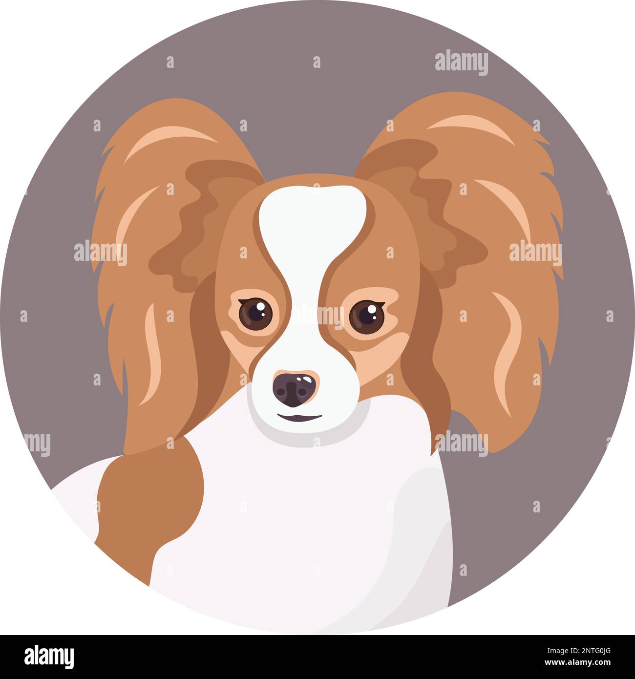 Cartoon papillon dog portrait isolated on transparent background. Cute ...