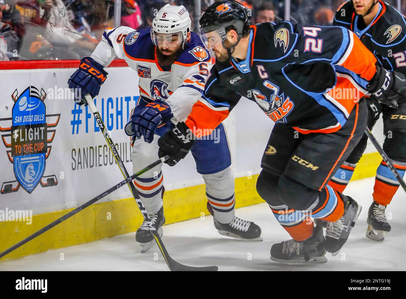 May 8,2019: Jaycob Megna (24) of San Diego Gulls and Joe Gambardella (5 ...