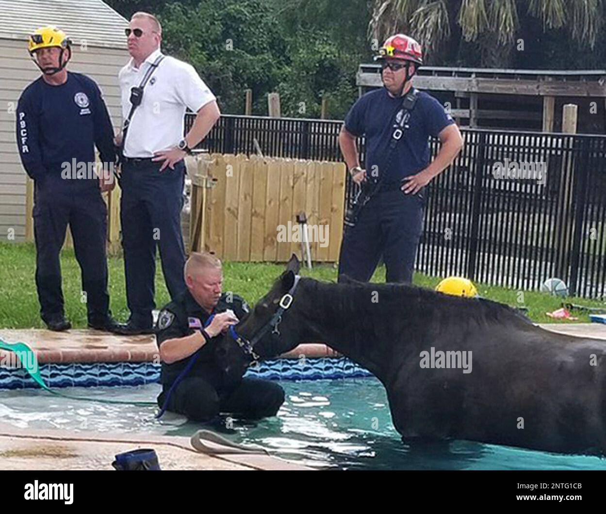 In this Sunday, May 12, 2019 photo provided by the Palm Beach County ...