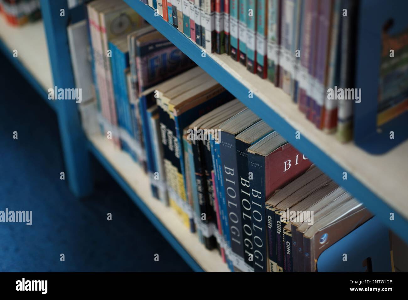 Academic carpet hi-res stock photography and images - Alamy